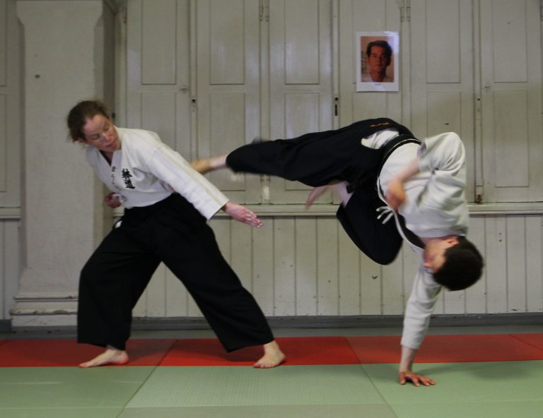 German Taido Association • World Taido Federation