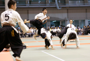 About Taido • World Taido Federation