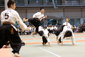 About Taido • World Taido Federation